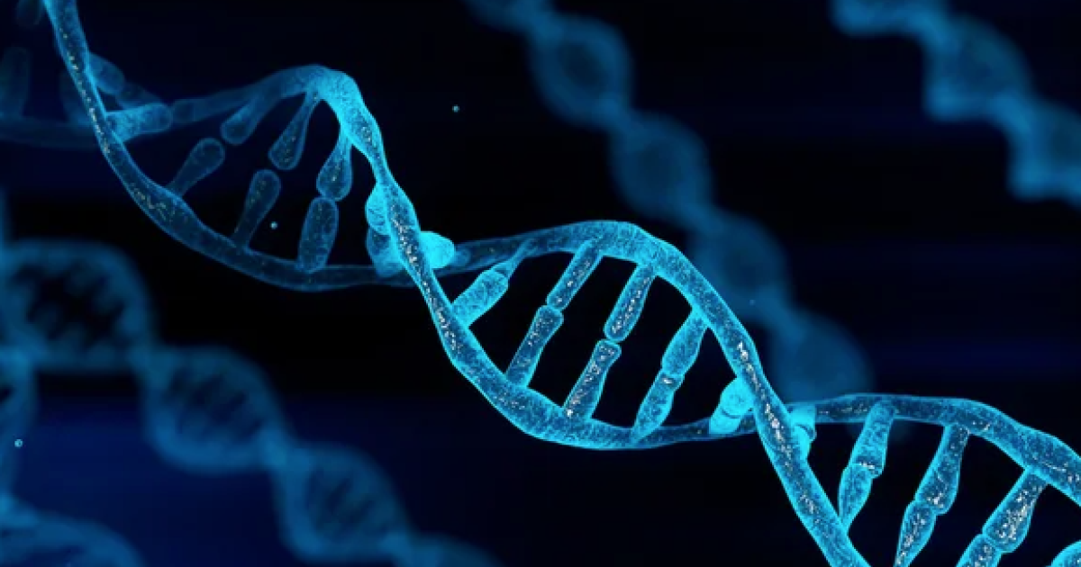 What is Monogenic Diabetes? | Monogenic Diabetes | The University of ...